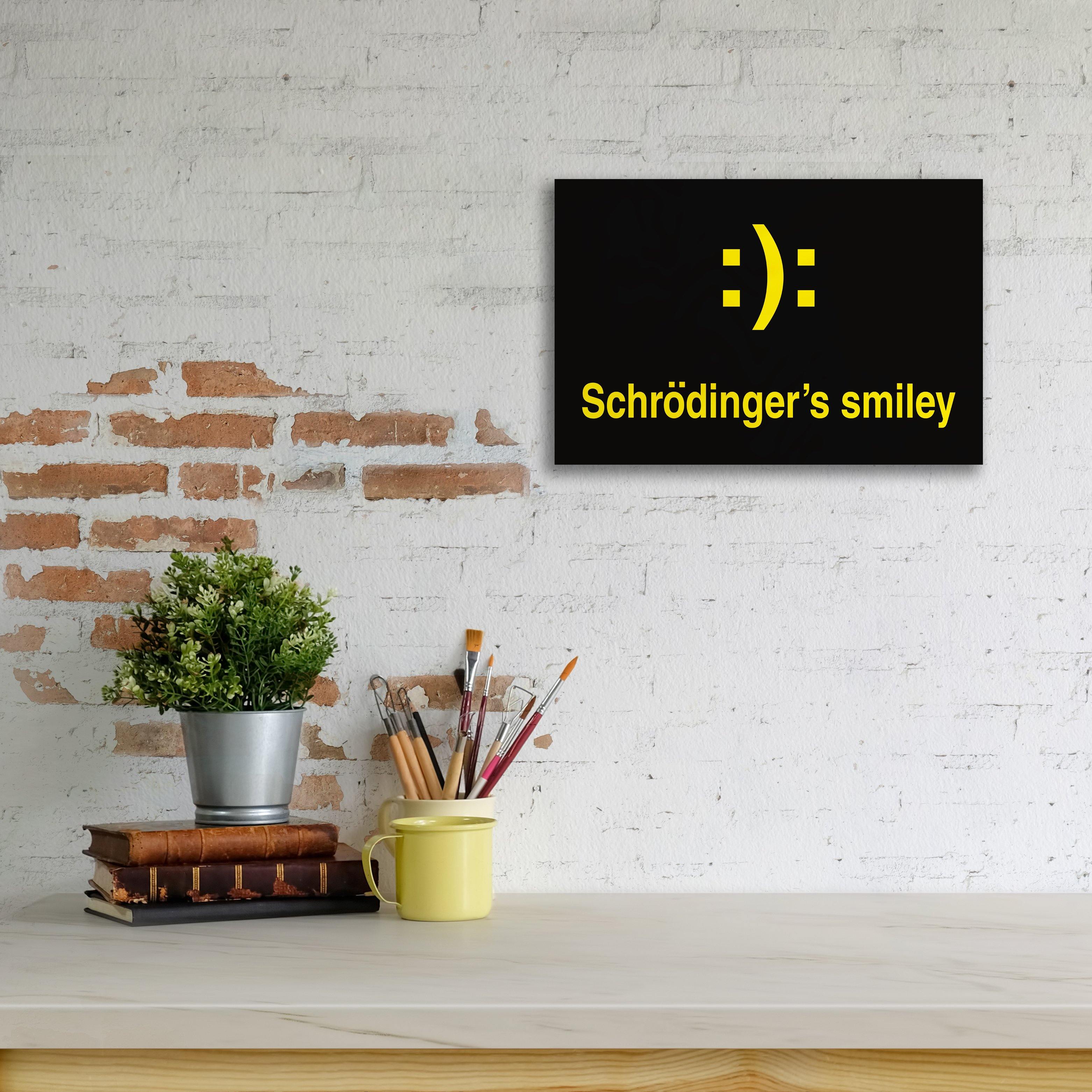 Schrodinger's Smiley Wall Art (Wooden) - GeekDawn